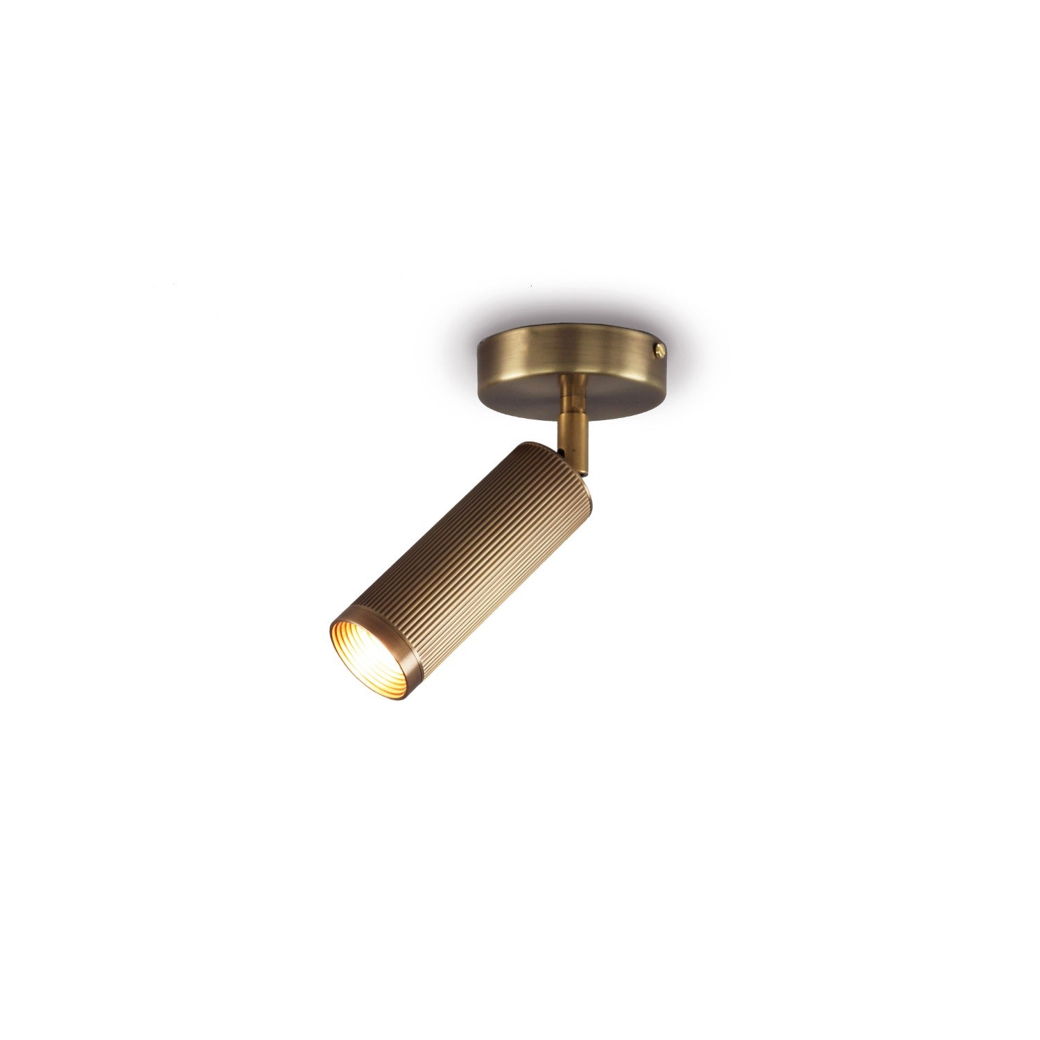 J. Adams & Co Spot Single Ceiling Light | Luminesy